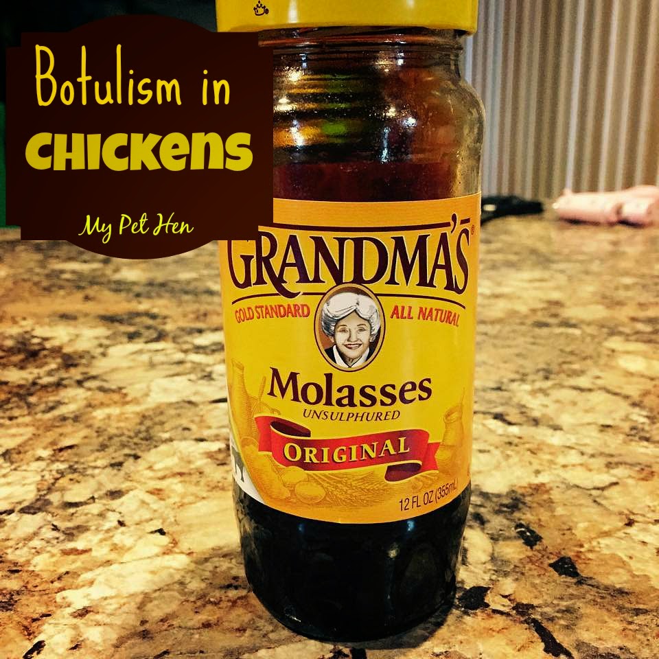 My Pet Hen: Botulism: Causes and Treatment